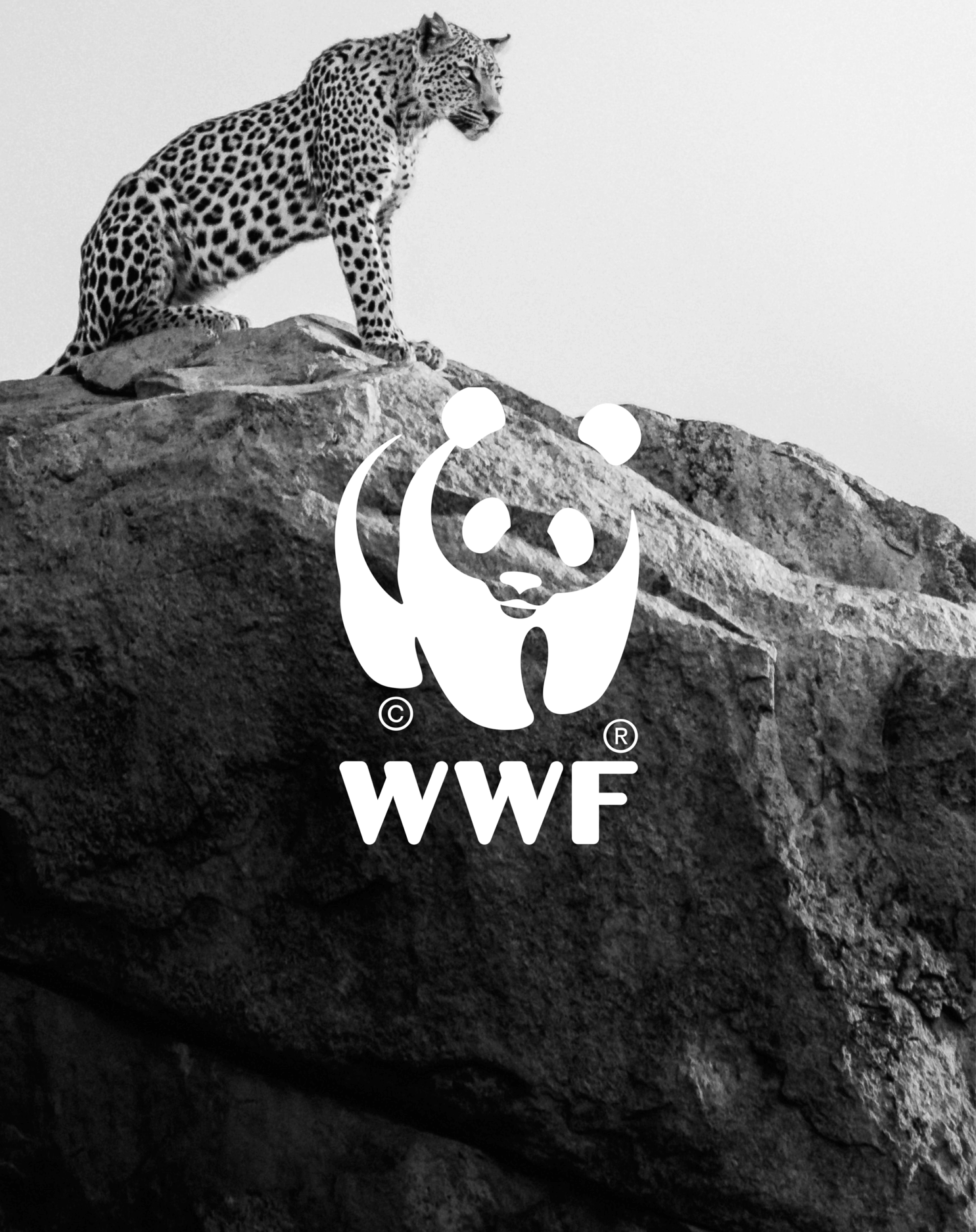 Products – Page 2 – Outsider®